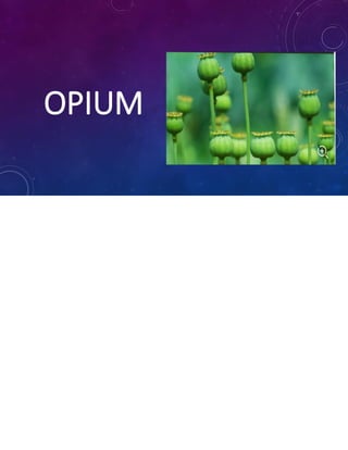 Belladonna and opium (Reference:c k.kokate) | PDF