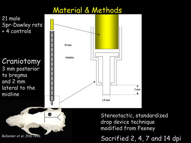 Bellander, Bo Michael | PPTX