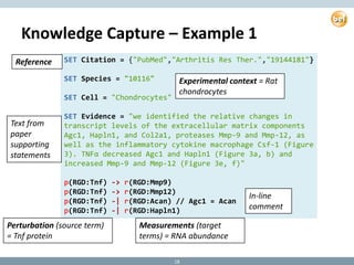 BEL language v1.0 | PPT