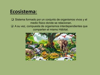los ecosistemas | PPTX