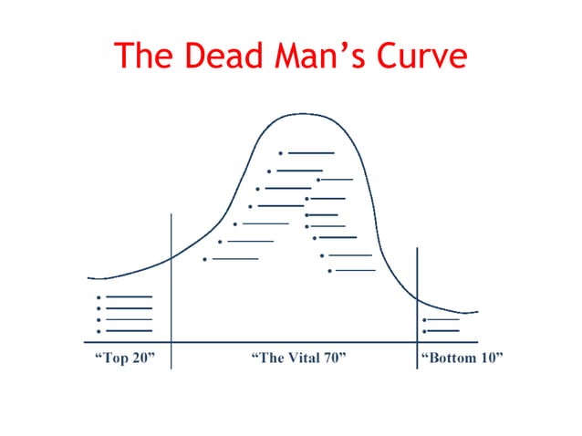 Bell Curve 213 | PPT