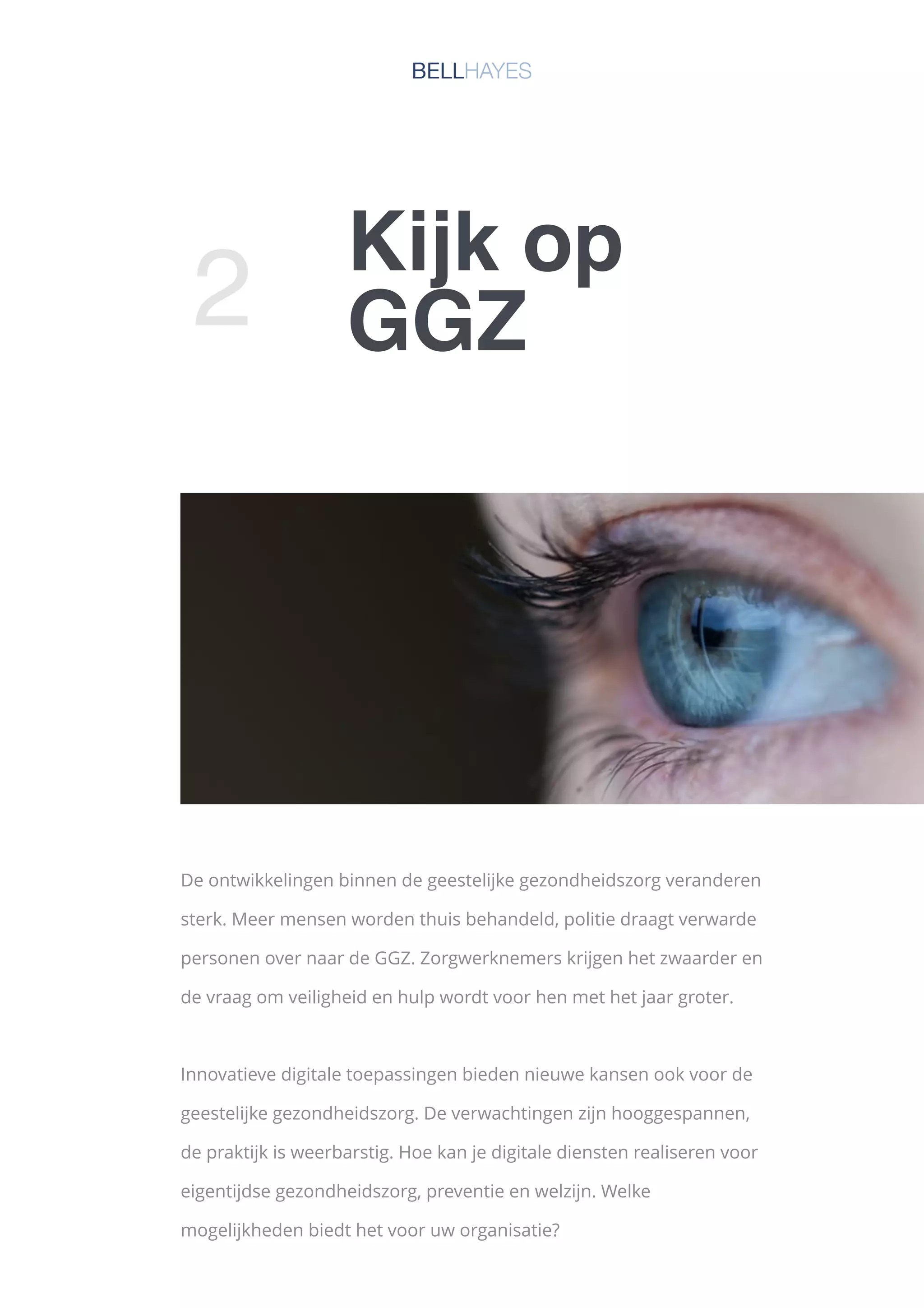 BelHayes Slimme Zorg | PDF