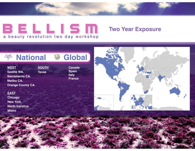 Bellism sposnorshipoverview1 copy | PDF