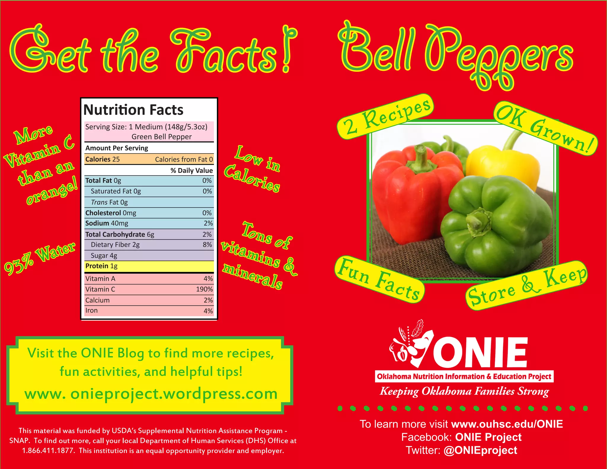 Bell Pepper Brochure | PPT