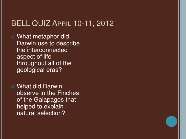 Bell quiz