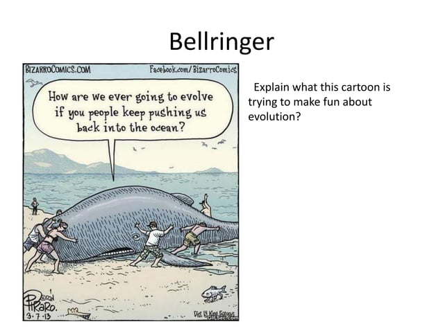 bell ringer | PPT