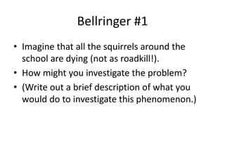 Bell ringers | PPTX
