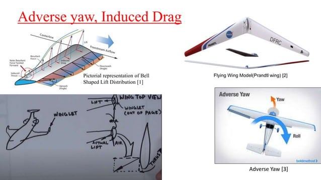 Bell shape lift_distribution | PPTX | Physics | Science