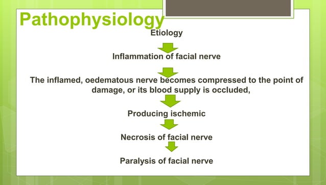 Bell's palsy | PPTX | Ear, Nose and Throat Conditions | Diseases and ...
