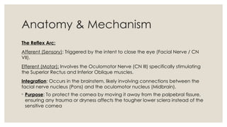 Bell's phenomenon anatomy mechanism clinical significance | PPTX