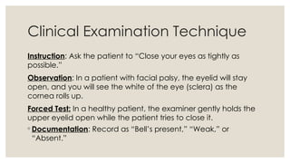 Bell's phenomenon anatomy mechanism clinical significance | PPTX