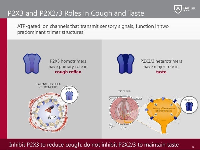 Bellus health corporate presentation (biotech showcase) jan 9 2018 v…