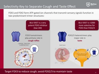 Bellus health presentation (g) october 10 v final | PPT