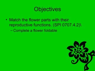 Bell work flower foldable day2 | PPT