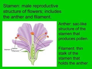 Bell work flower foldable day2 | PPT