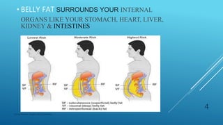 Belly fat | PPTX