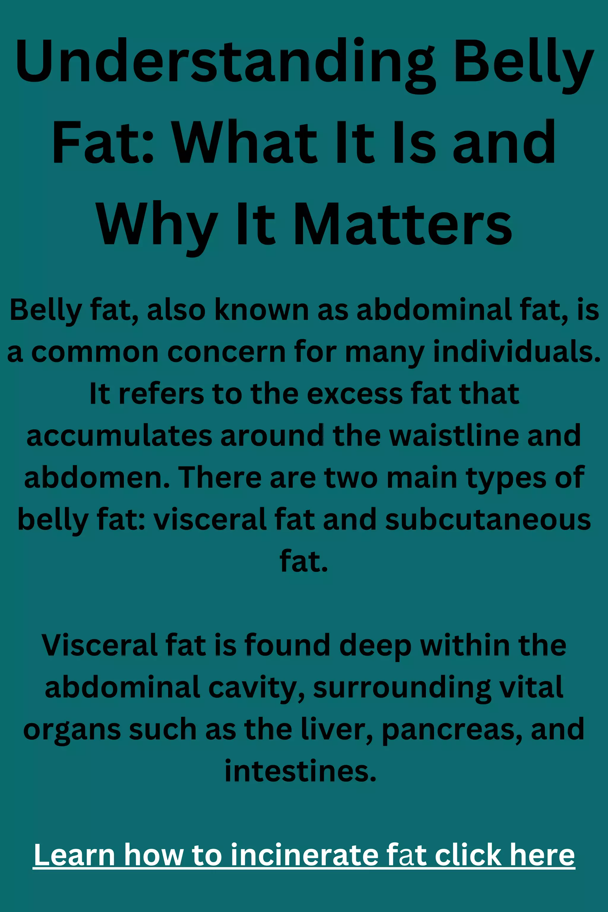 Belly fat ebook.pdf