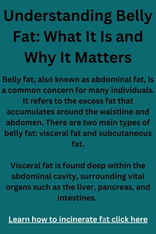Belly fat ebook.pdf