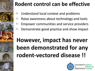 Can human incidence of leptospirosis be reduced through implementing ...