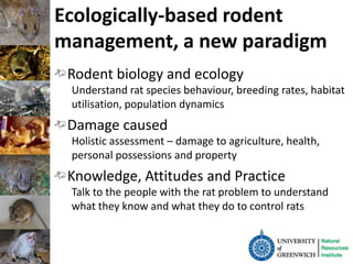 Can human incidence of leptospirosis be reduced through implementing ...