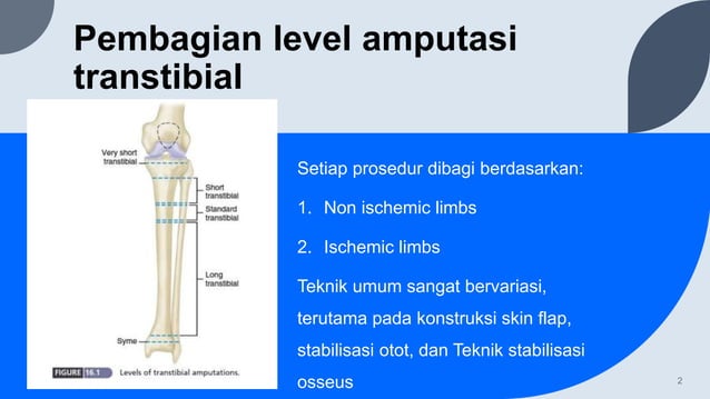 below knee amputatin.pptx