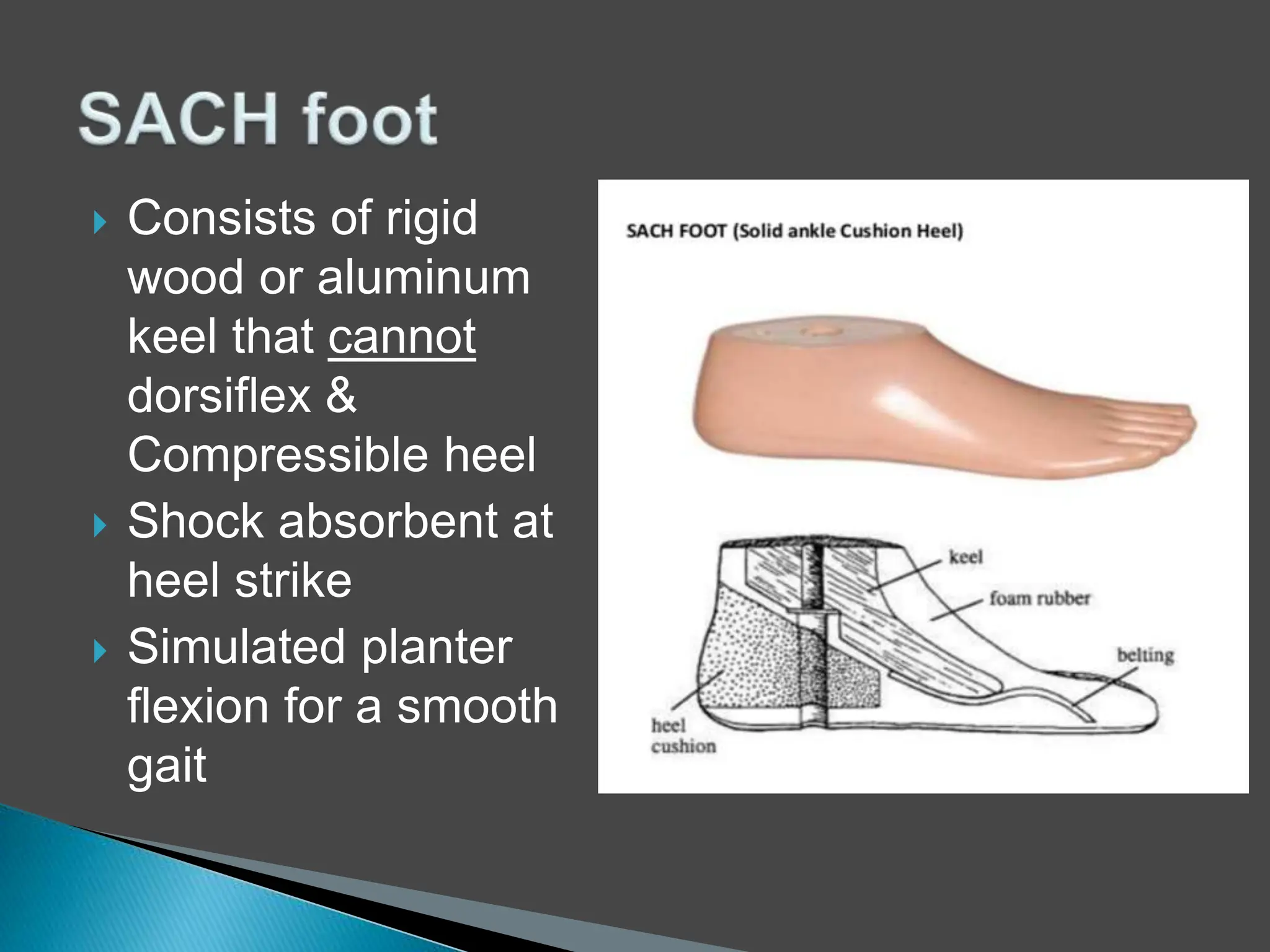 Below knee amputation and its Rehabilitation.pptx