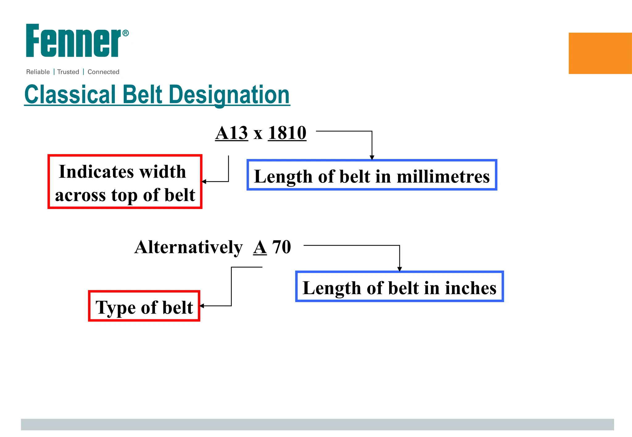 Belt & Chain Training For Education.pptx