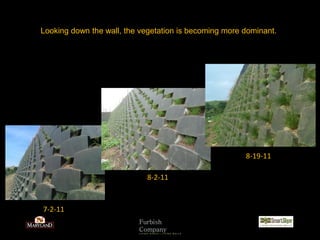 Living Wall Case Study - Aug. 2011 | PDF