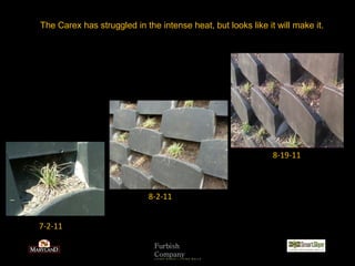 Living Wall Case Study - Aug. 2011 | PDF