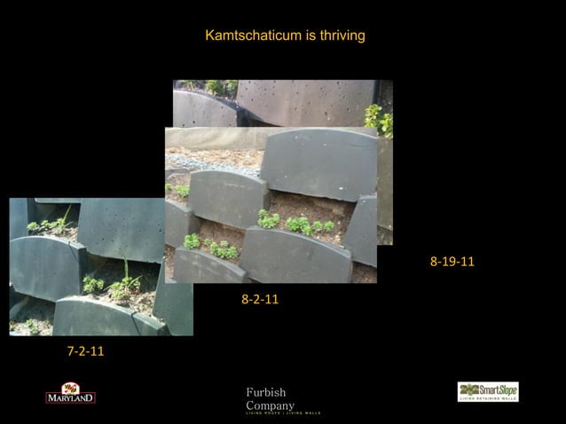 Living Wall Case Study - Aug. 2011 | PPT