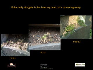 Living Wall Case Study - Aug. 2011 | PDF