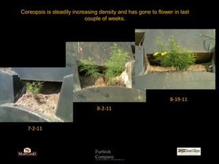 Living Wall Case Study - Aug. 2011 | PDF