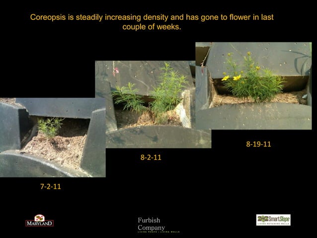 Living Wall Case Study - Aug. 2011 | PPT
