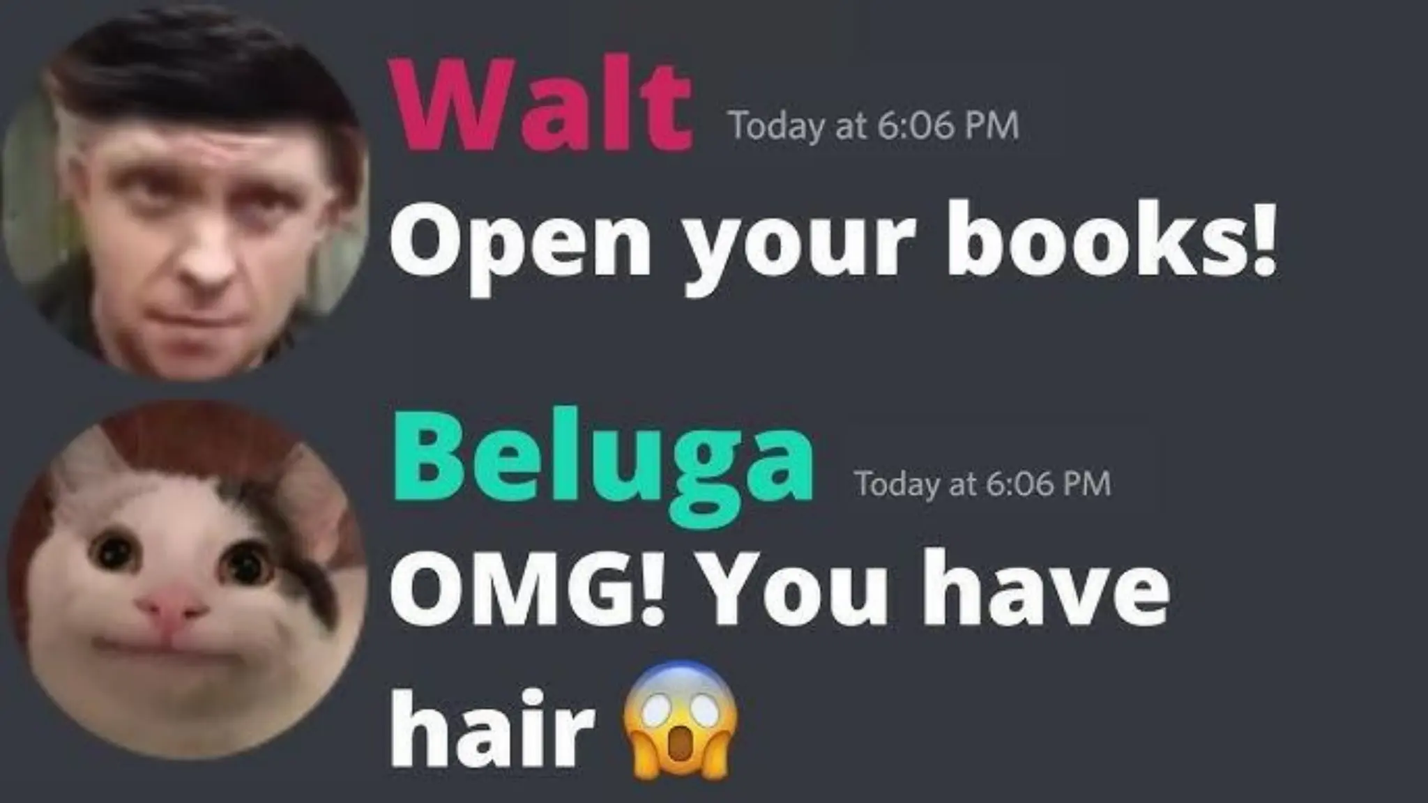 BELUGA slideshow funny and cool make you laugh | PDF