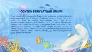 Beluganya bintang, fadya, rana, latisha.pdf