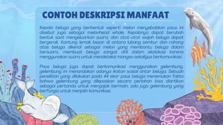 Beluganya bintang, fadya, rana, latisha.pdf
