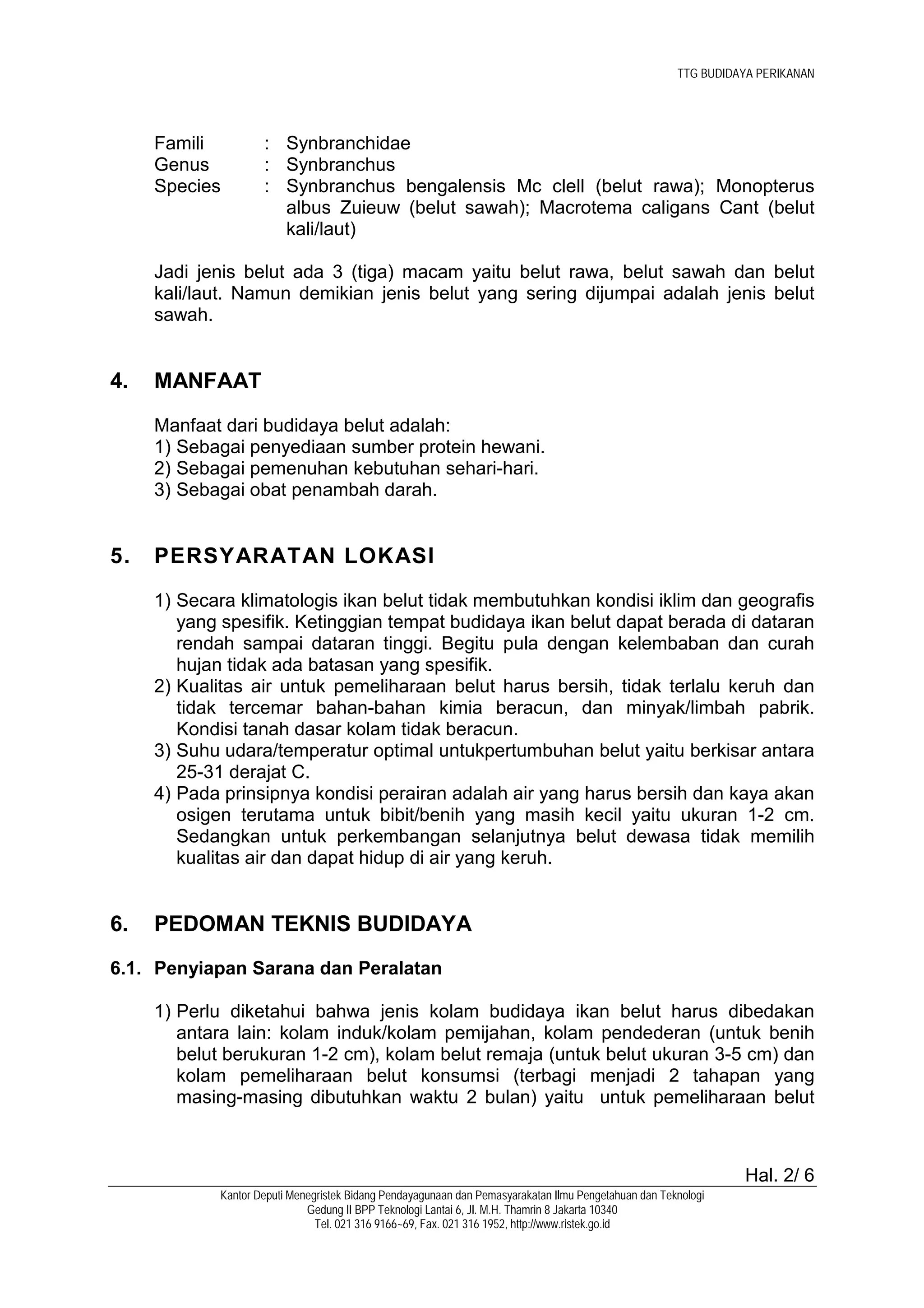 Analisa Bisnis Budidaya Belut | PDF