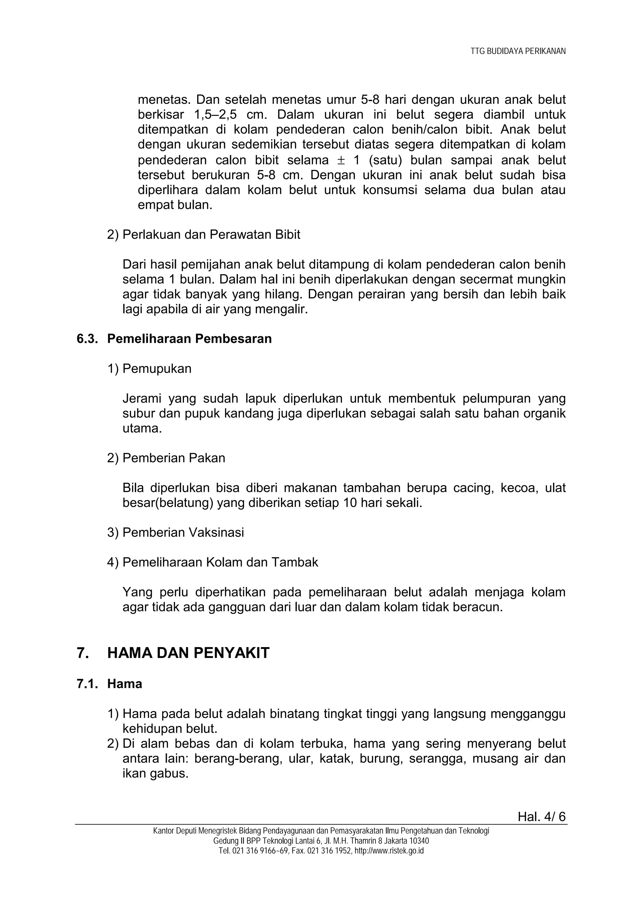 Analisa Bisnis Budidaya Belut | PDF