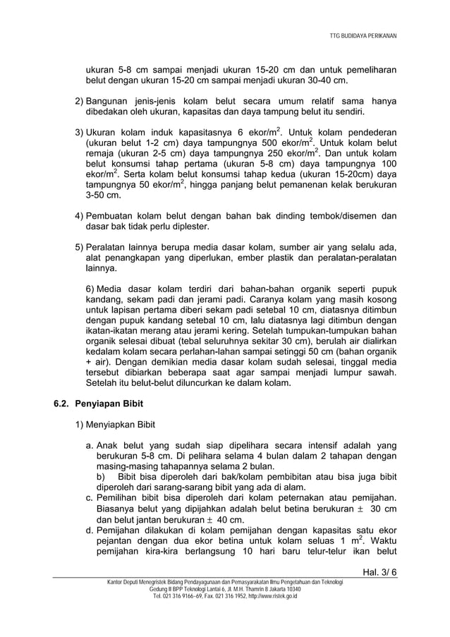 Analisa Bisnis Budidaya Belut | PDF