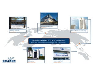 Belzona Presentation by NICCO | PDF