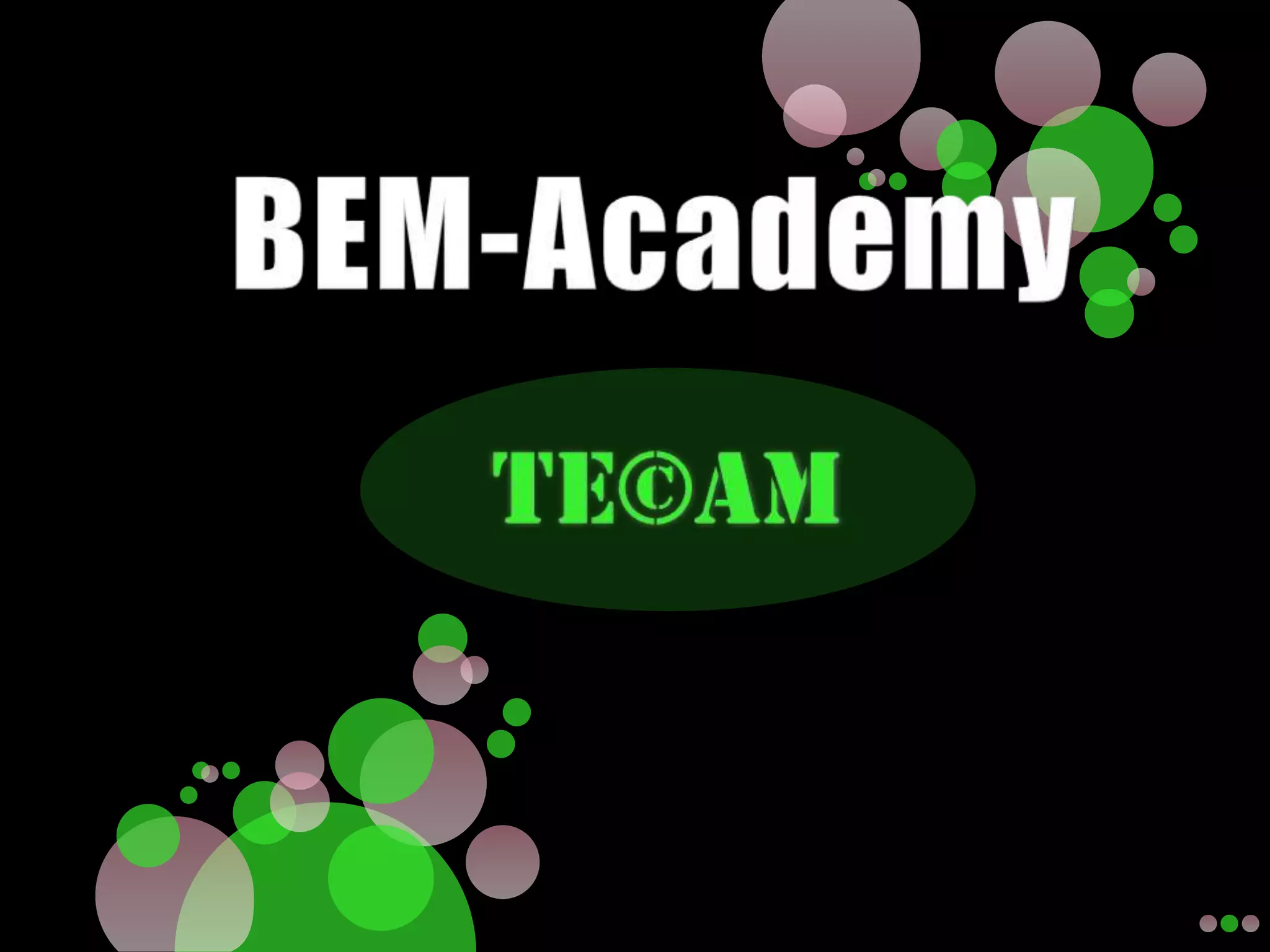 BEM Academy | PPT