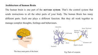 Module 2:- HUMAN ORGAN SYSTEMS AND BIO DESIGNS | PPTX