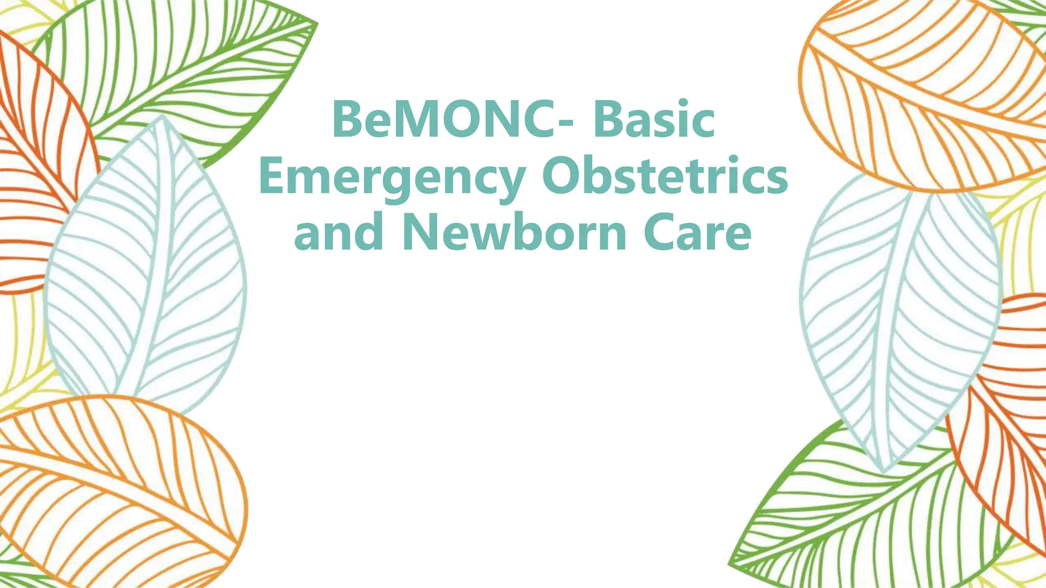 BEMONCE Basic Emergency Obstetrics Cares | PPT