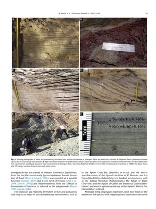 Ben ali et-al_2018-fish-assemblage-sidi-aich | PDF