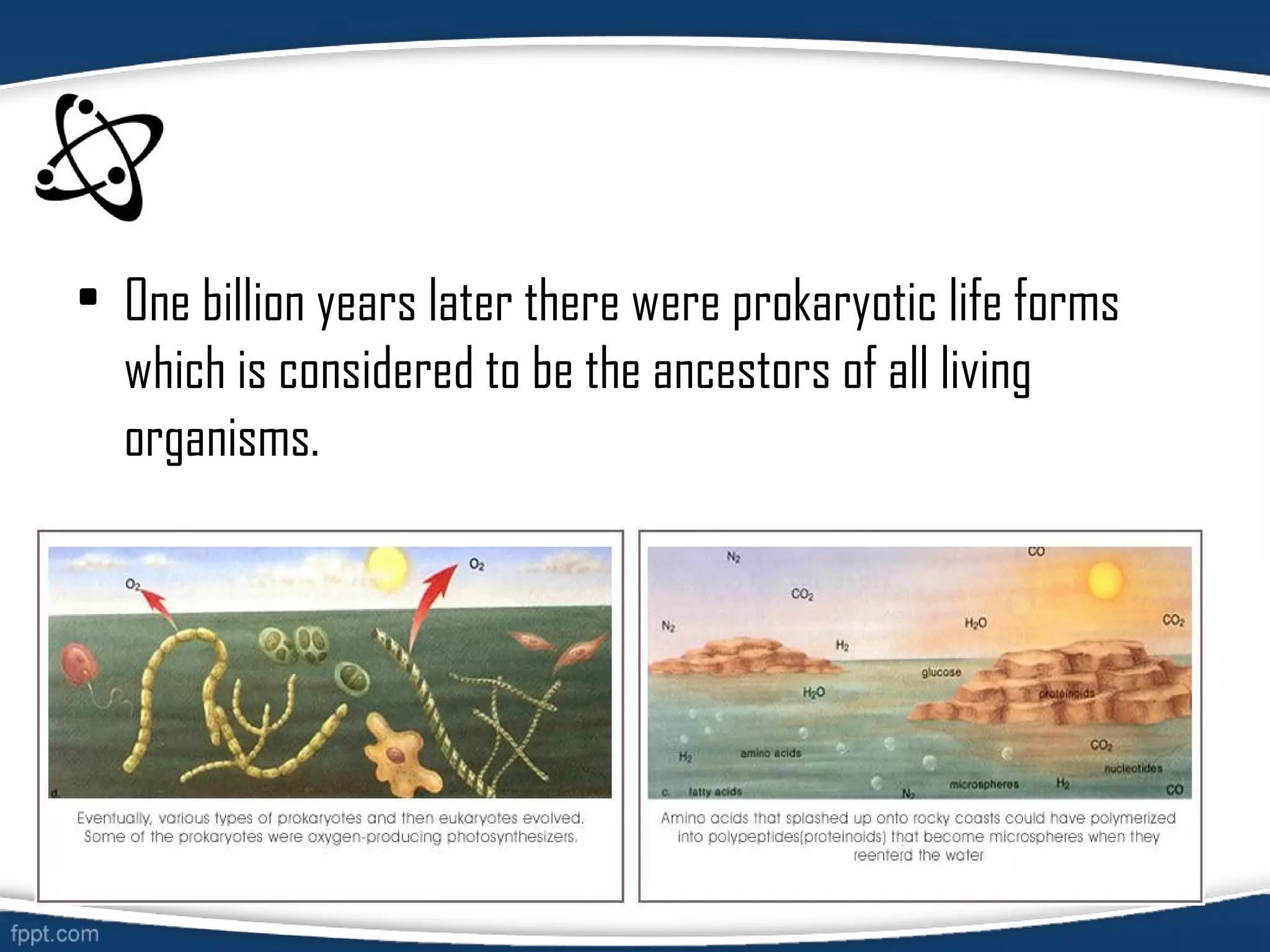 Development and Evolution of Ecosystem | PPT | Geology | Science