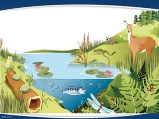 Development and Evolution of Ecosystem | PPT