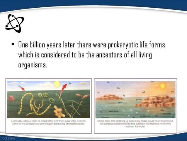 Development And Evolution Of Ecosystem
