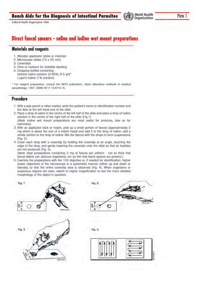 bench aids for the diagnosis of intestinal parasites1.pdf