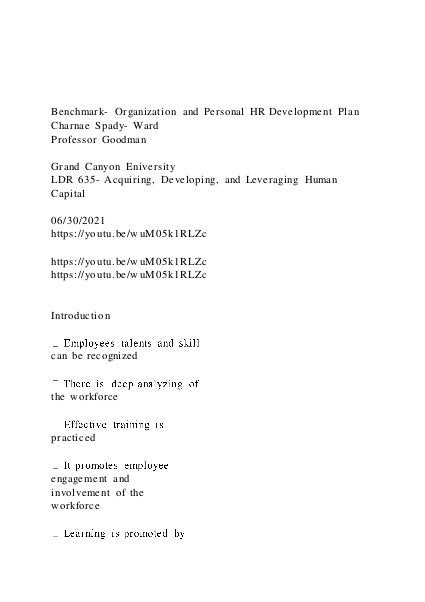 Benchmark- Organization and Personal HR Development PlanChar | DOCX