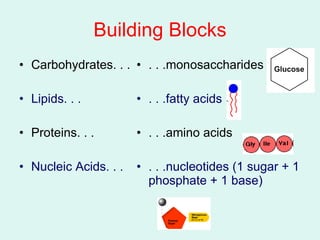 Benchmark 1 study guide | PPT | Chemistry | Science
